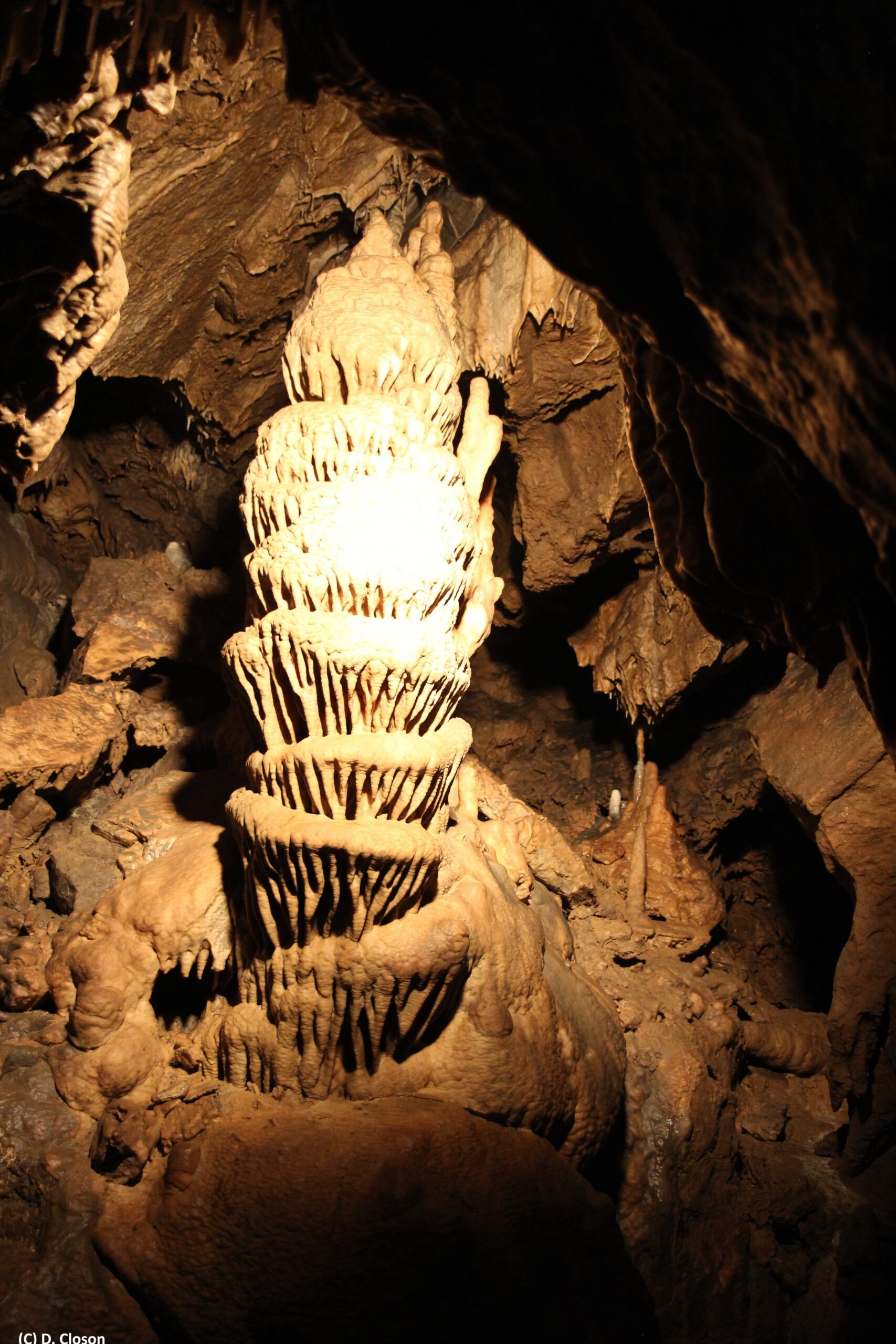 Les Nutons de Floreffe - Terra Curiosa